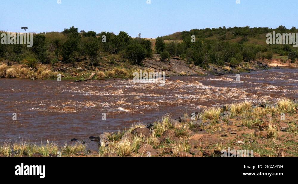 Landscape of Mara River in Masai Mara Park in Kenya, Real Time 4K Stock ...