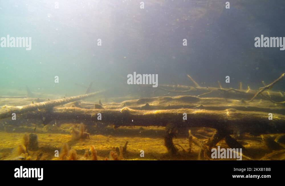 Lake bottom underwater Stock Videos & Footage - HD and 4K Video Clips ...