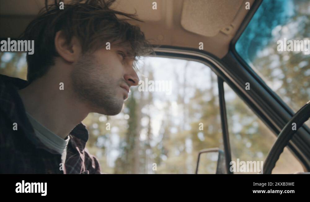 Cheese weed Stock Videos & Footage - HD and 4K Video Clips - Alamy