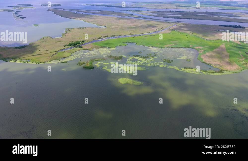 An aerial view of wetlands Stock Videos & Footage - HD and 4K Video ...
