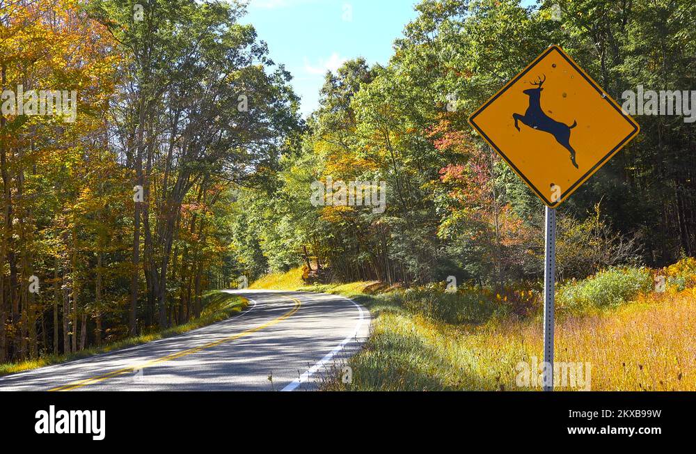 Elk crossing road sign Stock Videos & Footage - HD and 4K Video Clips ...