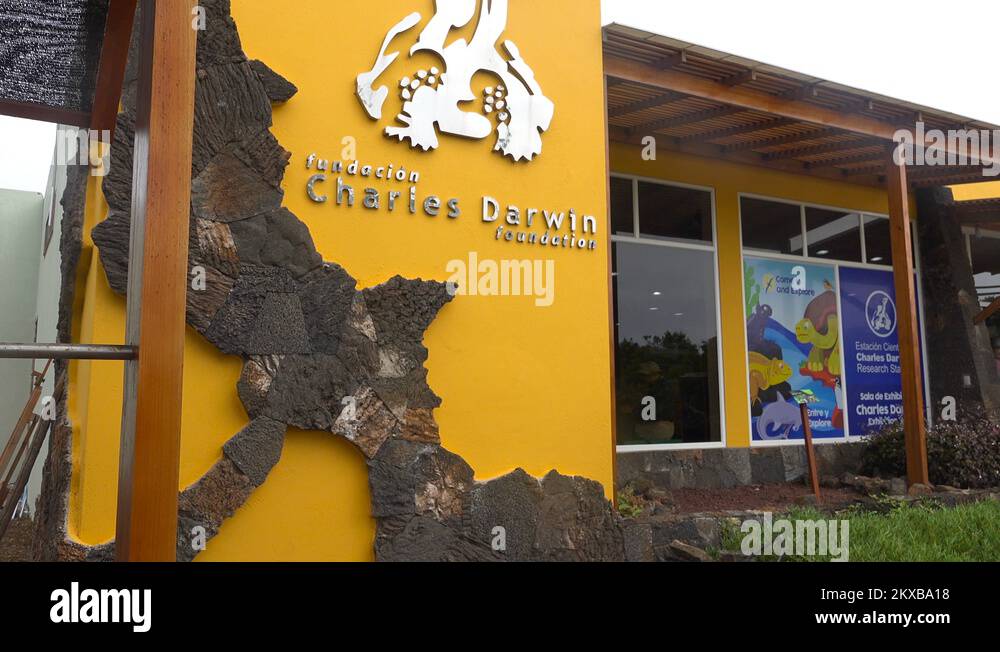 Tortoise breeding centre Stock Videos & Footage - HD and 4K Video Clips ...