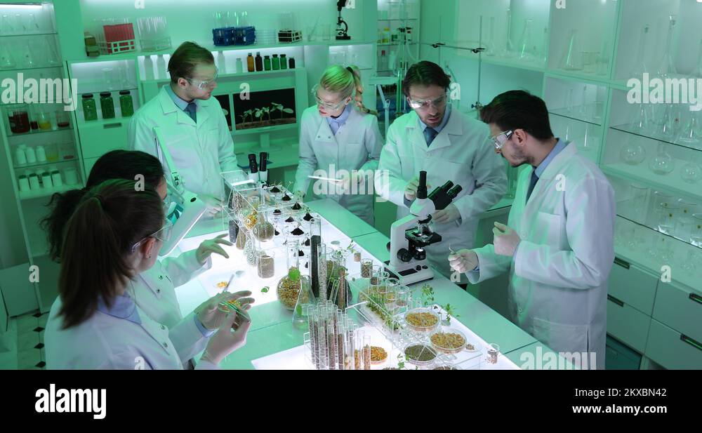 Plant cure Stock Videos & Footage - HD and 4K Video Clips - Alamy