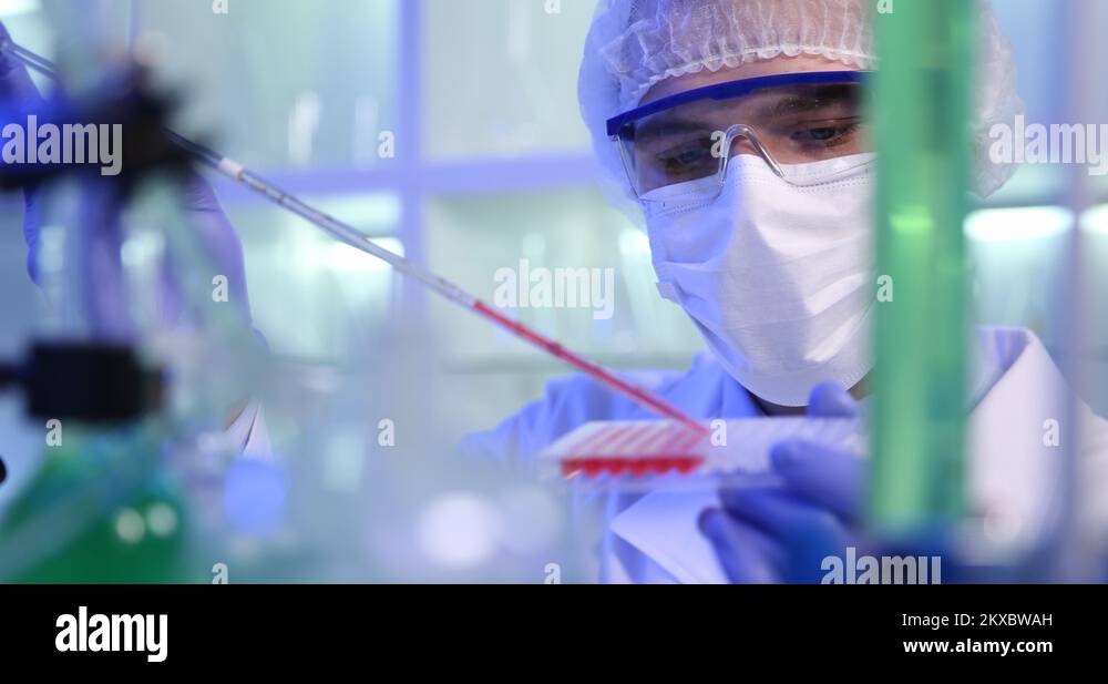 Scientist Man Work Pipetting Liquid Samples Micropipette Microplate ...