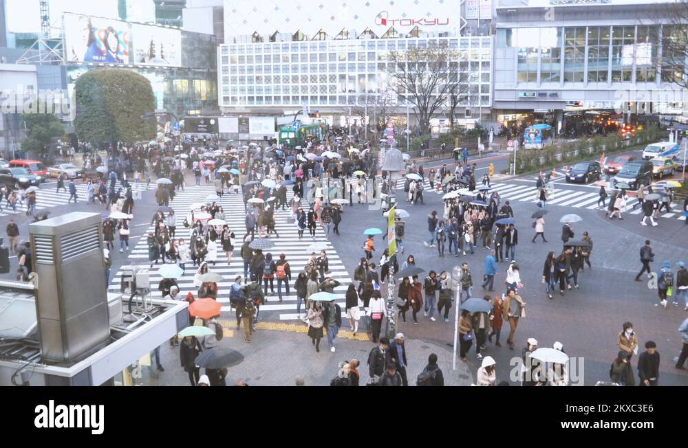Shibuya Crossing, one of the busiest road intersection in the world ...