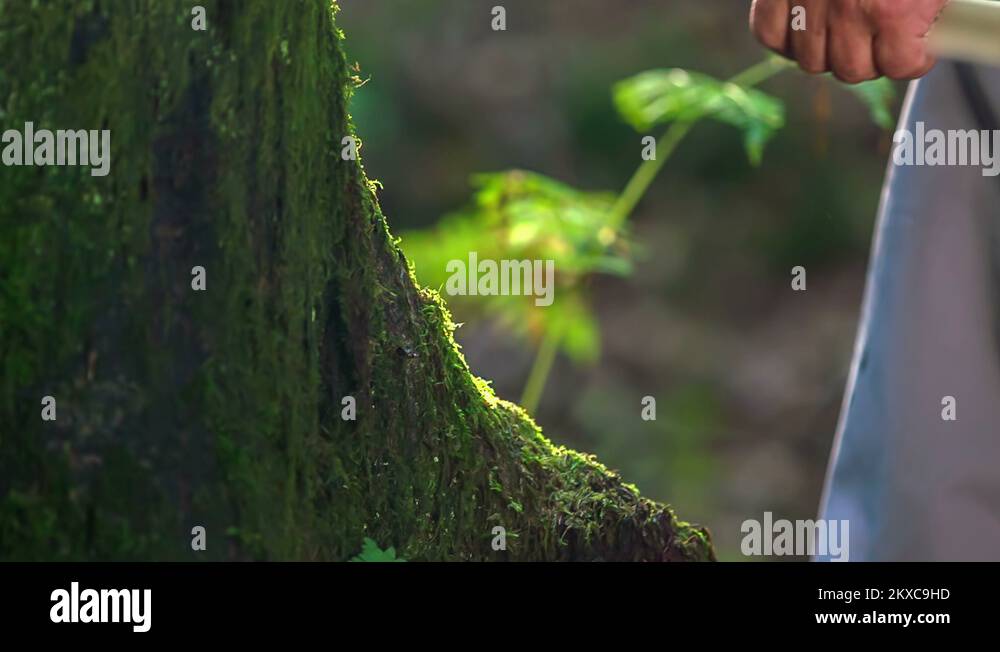 Wooden metre ruler Stock Videos & Footage - HD and 4K Video Clips - Alamy
