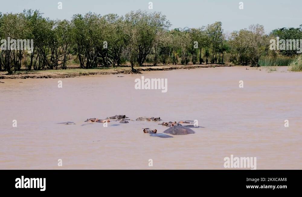 Isimangaliso wetland national park Stock Videos & Footage - HD and 4K ...