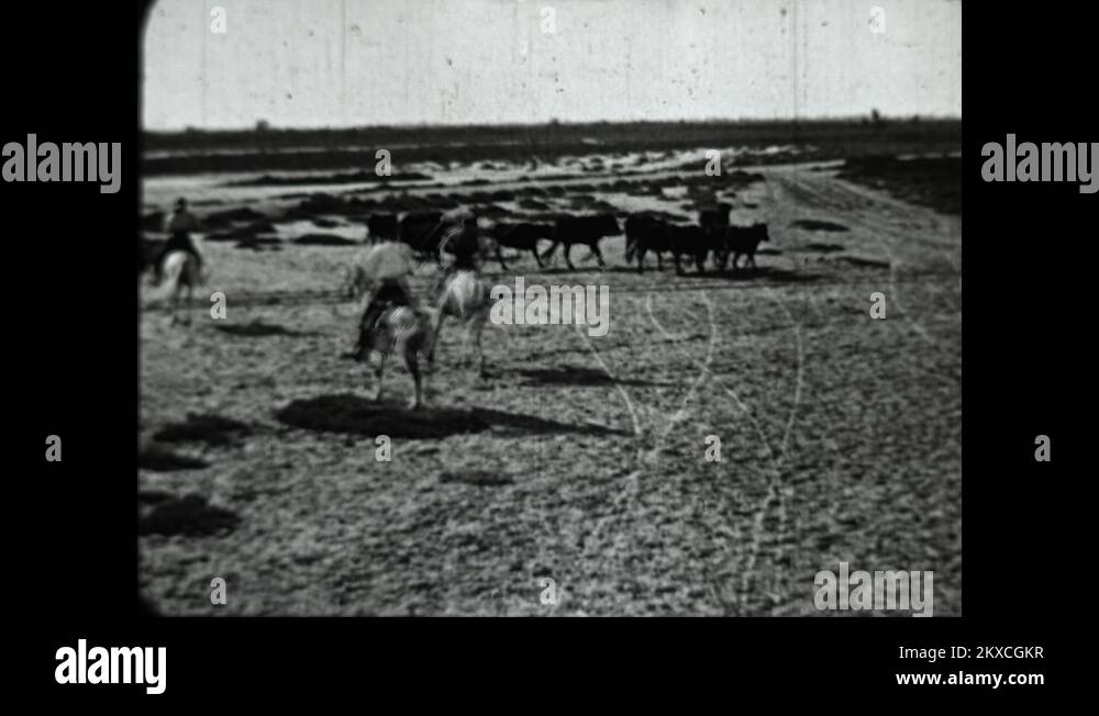 Leaping Stock Videos & Footage - HD and 4K Video Clips - Alamy