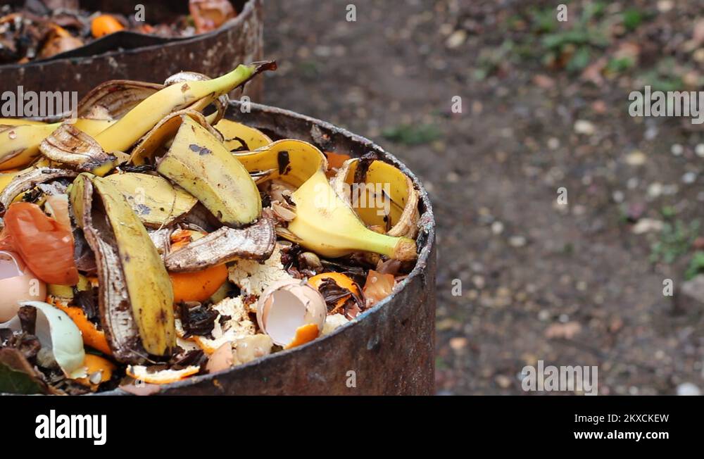 Compost food soil Stock Videos & Footage - HD and 4K Video Clips - Alamy
