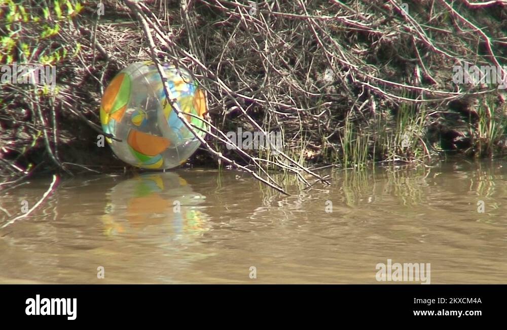 Ball bushes Stock Videos & Footage - HD and 4K Video Clips - Alamy