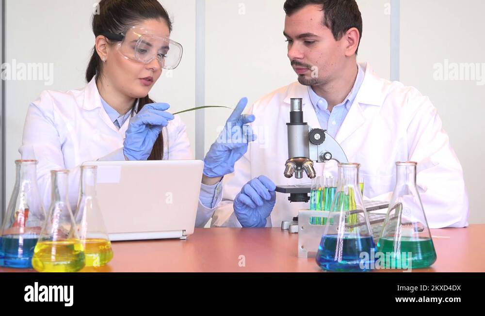 Sample group Stock Videos & Footage - HD and 4K Video Clips - Alamy