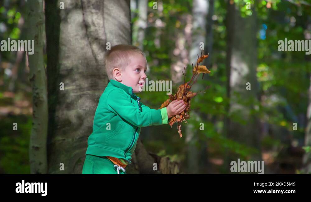 Toddler is throwing tree leaves into the air Stock Video Footage - Alamy