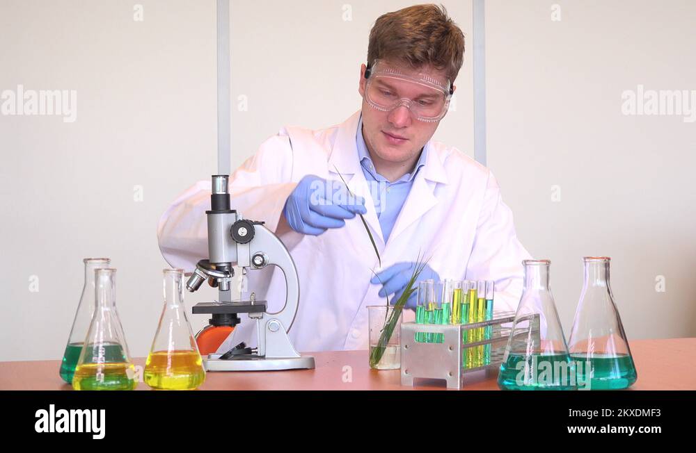 Agricultural study Stock Videos & Footage - HD and 4K Video Clips - Alamy