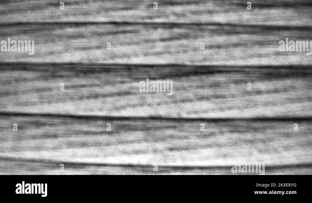 Real-life static noise practical compositing elements Stock Video ...