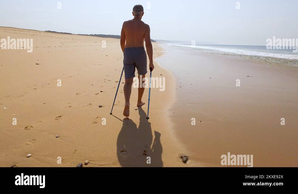 Walking sticks beach Stock Videos & Footage - HD and 4K Video Clips - Alamy