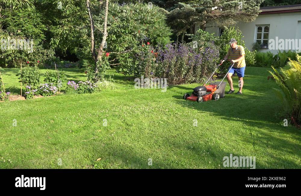 male gardener man pushing lawn mower in the yard of his homestead house ...