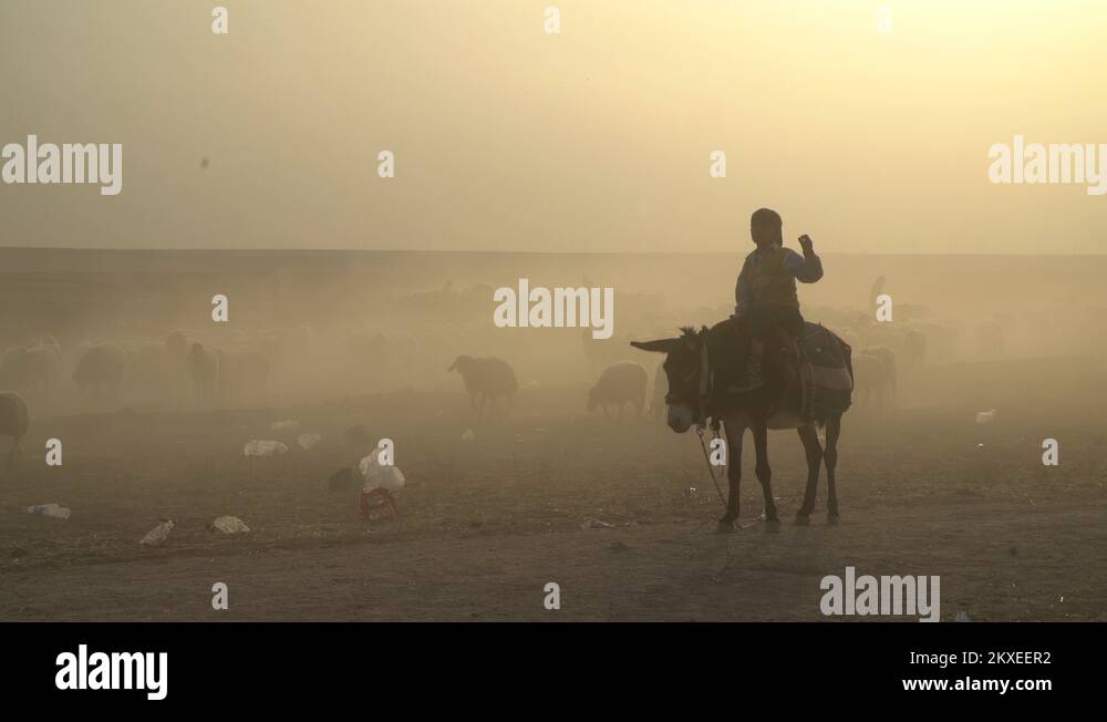 Shepherd boy Stock Videos & Footage - HD and 4K Video Clips - Alamy