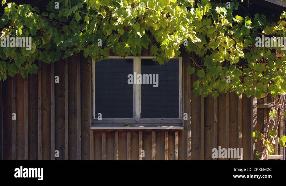 Wooden window ledge Stock Videos & Footage - HD and 4K Video Clips - Alamy