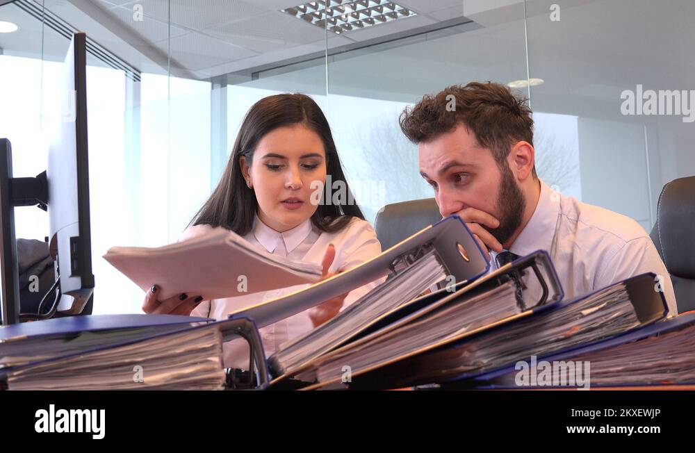 Portraitaccountantsteam Stock Videos & Footage - HD and 4K Video Clips ...