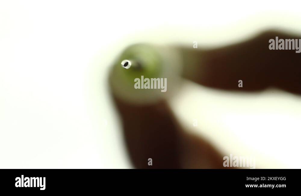 Sharp tip Stock Videos & Footage - HD and 4K Video Clips - Alamy