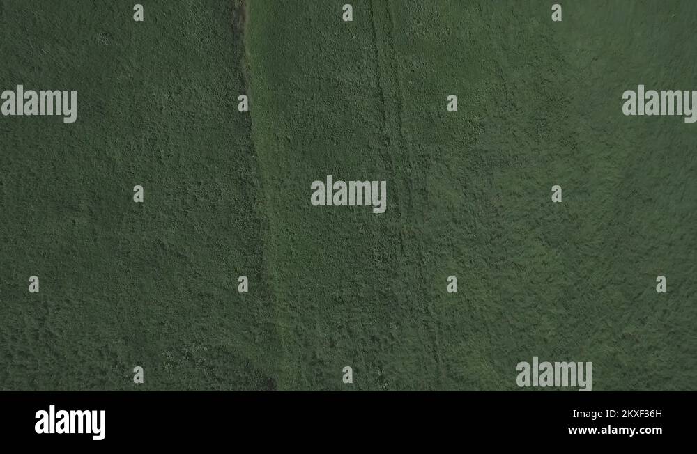 Tiled texture Stock Videos & Footage - HD and 4K Video Clips - Alamy