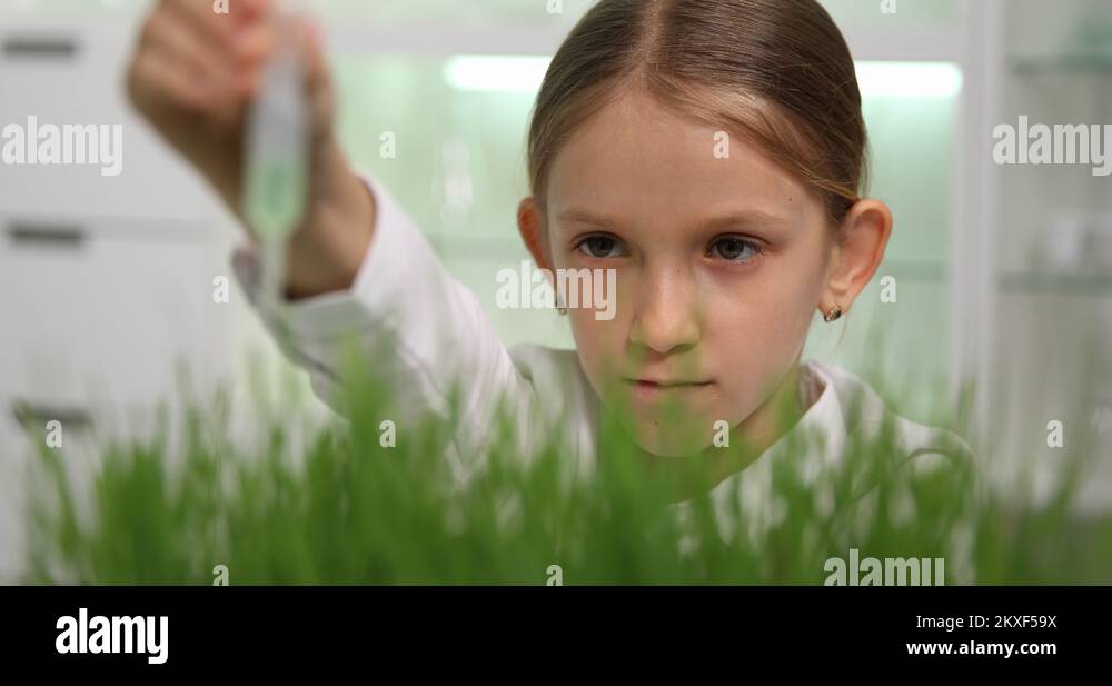 Child in Chemistry Lab, School Science Experiment, Planting Wheat ...