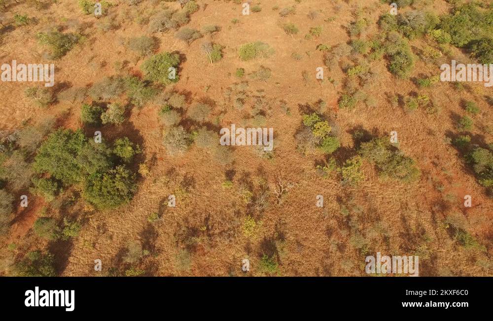 Africa savannah mountain Stock Videos & Footage - HD and 4K Video Clips ...