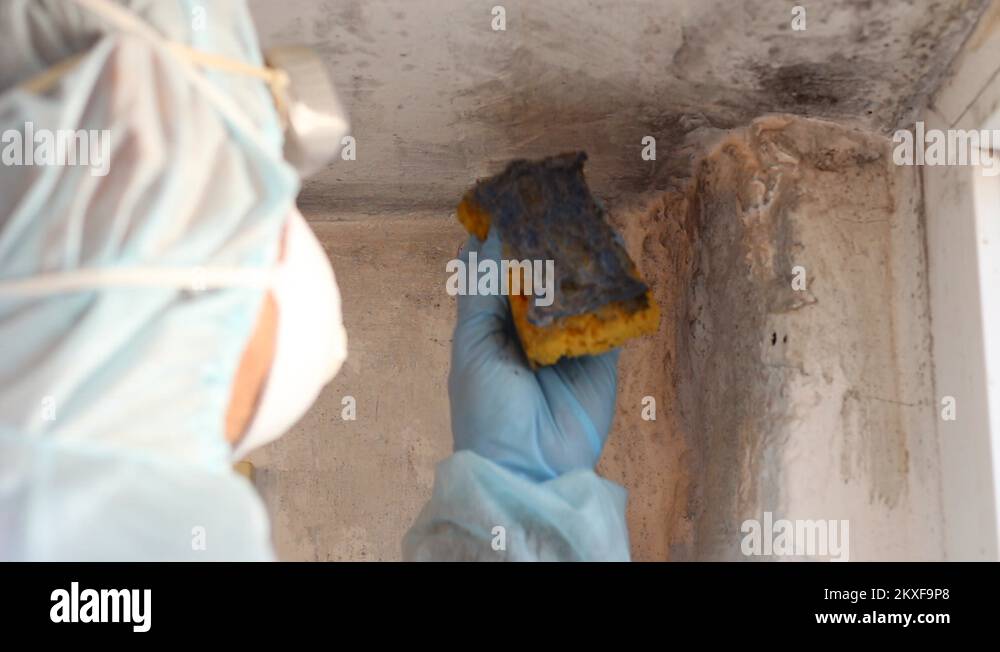 Home cleaning mould Stock Videos & Footage - HD and 4K Video Clips - Alamy