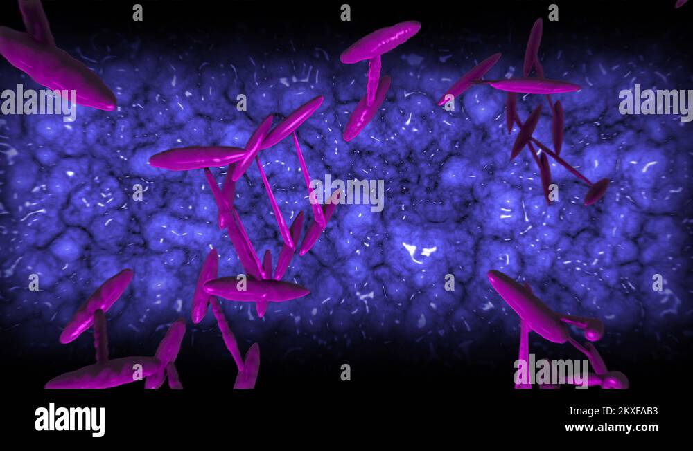 Rotating Purple DNA with Blue Organic Background Stock Video Footage ...