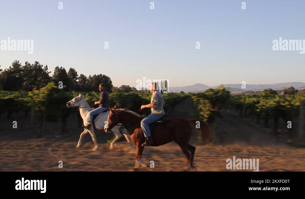 Horseback Stock Videos & Footage - HD and 4K Video Clips - Alamy