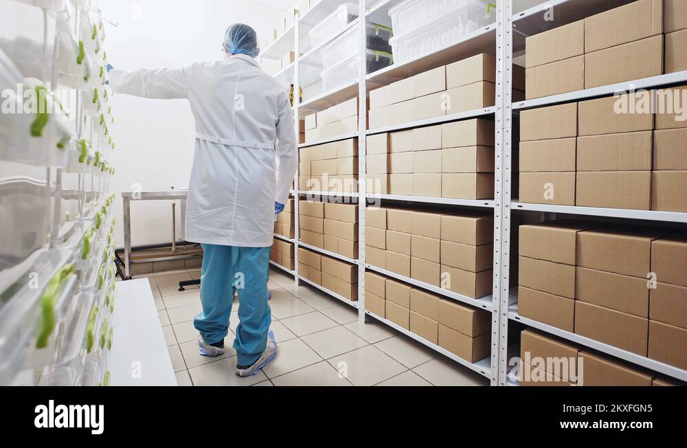 In the storeroom Stock Videos & Footage - HD and 4K Video Clips - Alamy