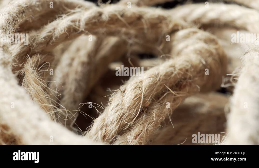 White Background Cutaway Stock Videos And Footage Hd And 4k Video Clips