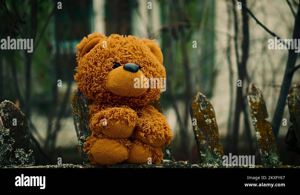 Teddy bear on fence Stock Videos & Footage - HD and 4K Video Clips - Alamy