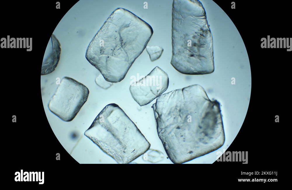 Water melting laboratory Stock Videos & Footage - HD and 4K Video Clips ...