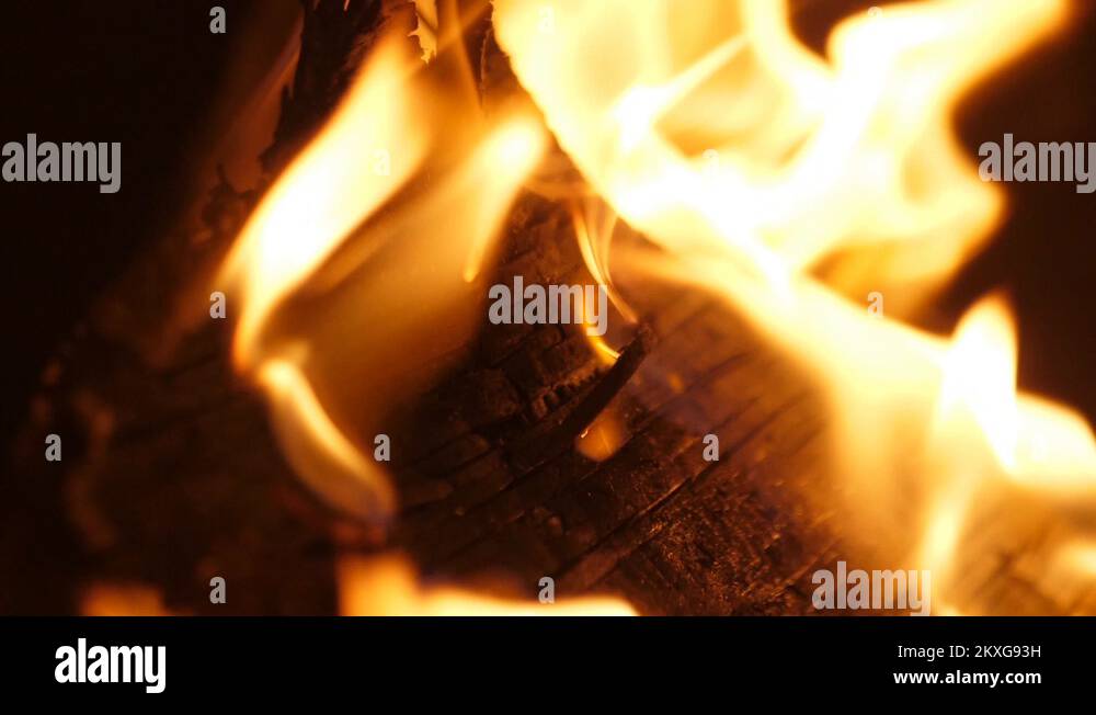 Ash wood texture Stock Videos & Footage - HD and 4K Video Clips - Alamy