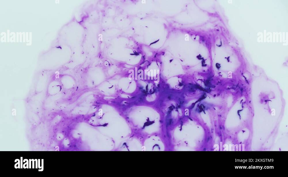 Static visual art Stock Videos & Footage - HD and 4K Video Clips - Alamy