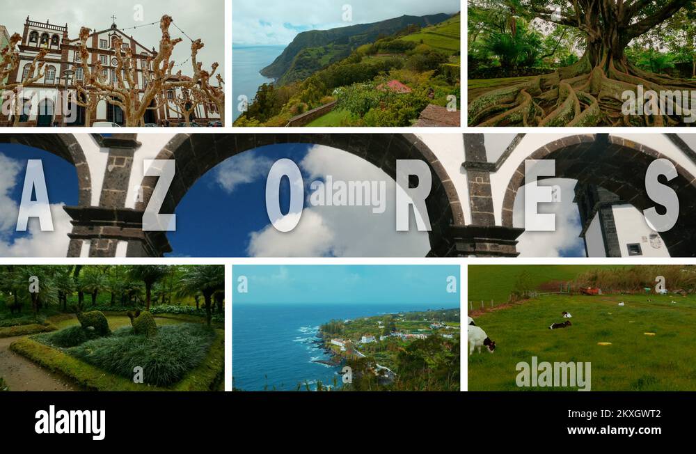 Collection compilation Stock Videos & Footage - HD and 4K Video Clips ...