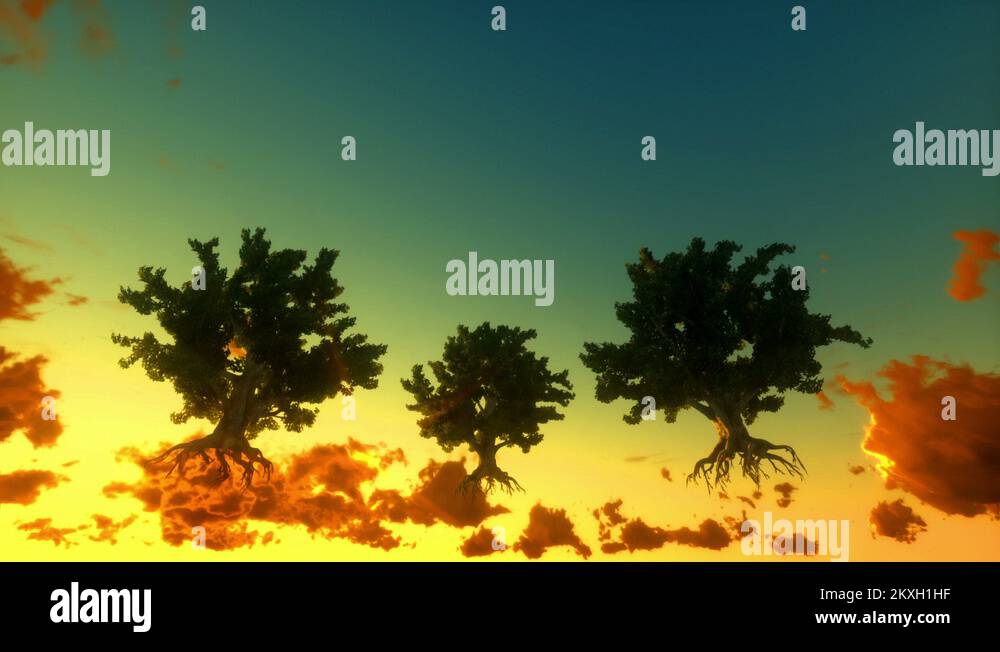 Floating trees Stock Videos & Footage - HD and 4K Video Clips - Alamy