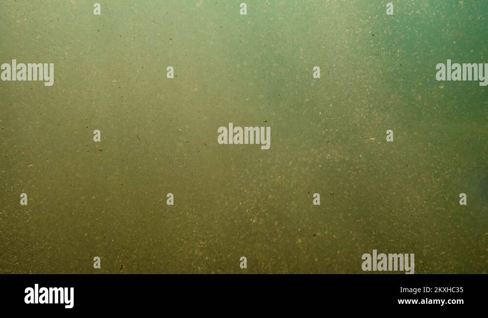 Sunbeams in water Stock Videos & Footage - HD and 4K Video Clips - Alamy