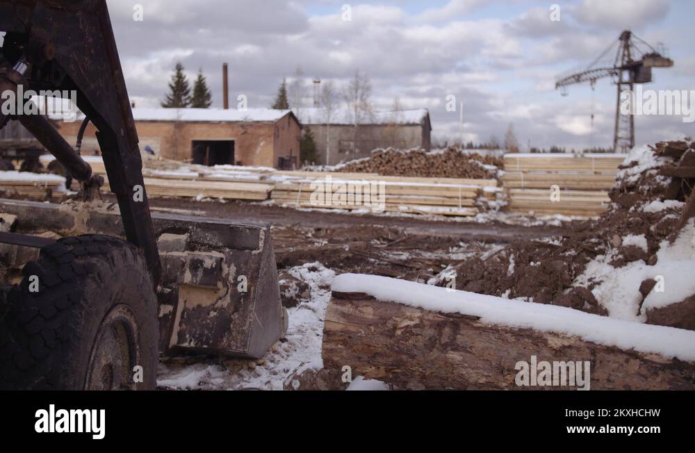 Excavator at sawmill yard stored piles of timber materials covered in ...
