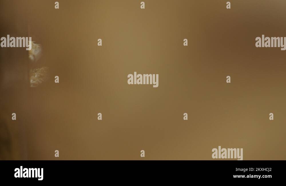 Inside of working wood plank refining workbench at carpenter production ...