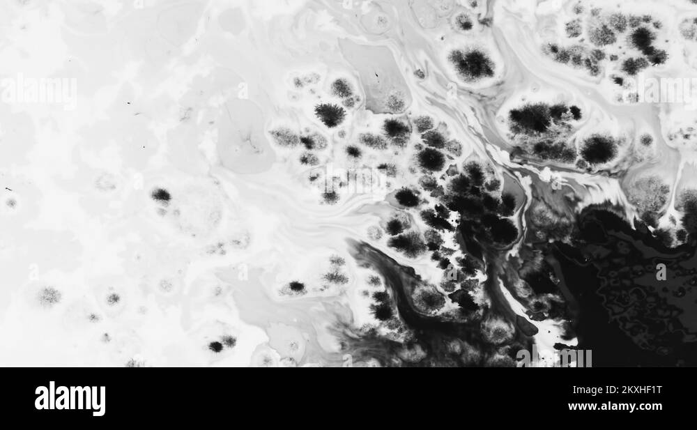 Splatter paintings Stock Videos & Footage - HD and 4K Video Clips - Alamy