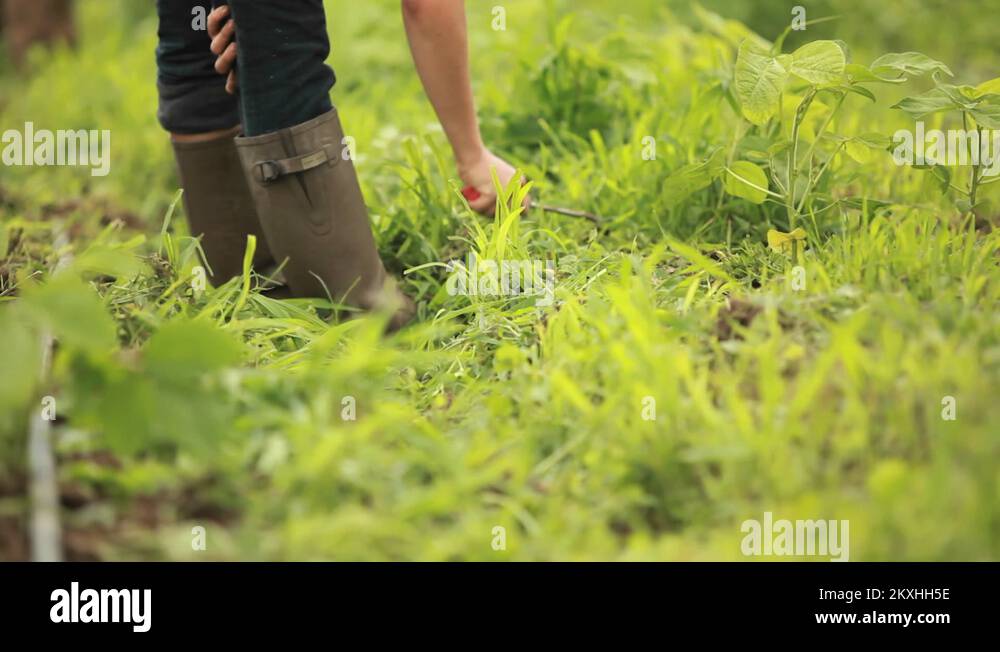 Galoshes Stock Videos & Footage - HD and 4K Video Clips - Alamy