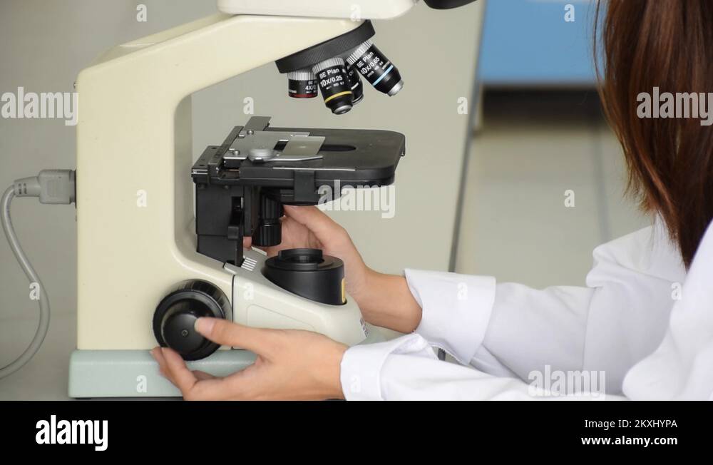 Scientist hand adjusting setting microscope and lens eye piece for in laboratory Stock Video ...