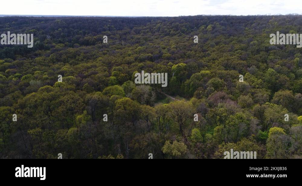 Horizontal broad wide Stock Videos & Footage - HD and 4K Video Clips ...