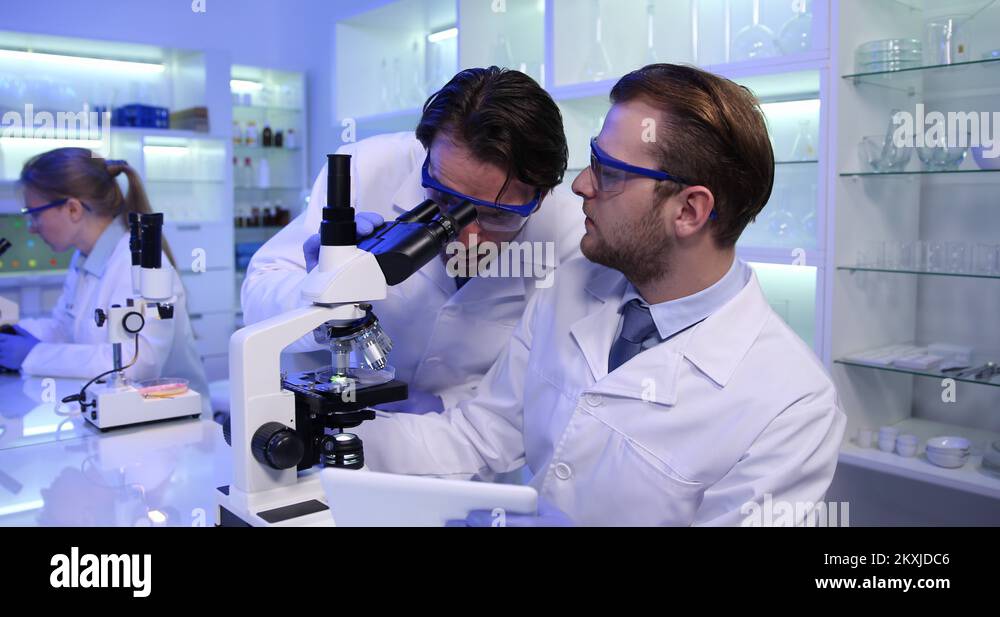 Researchers Team Testing Sample on Microscope Laboratory Conversation ...