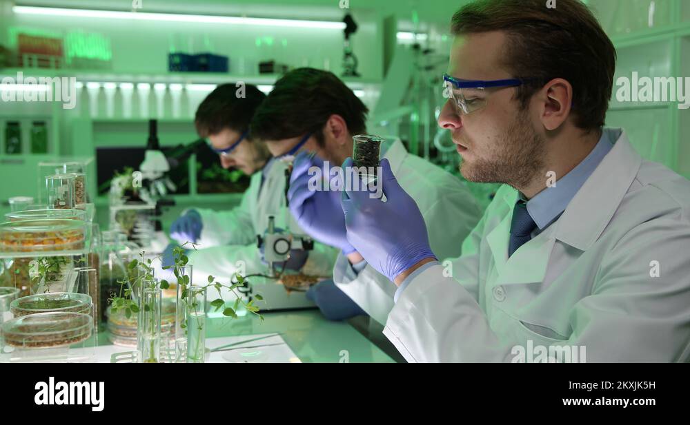 Organic laboratory Stock Videos & Footage - HD and 4K Video Clips - Alamy