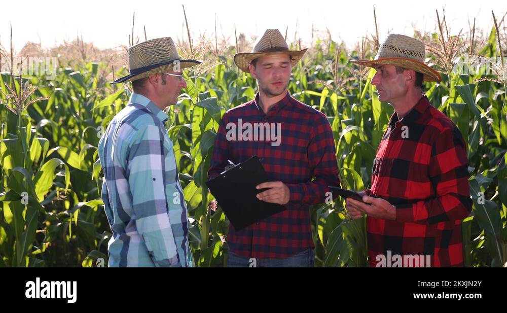 Farm worker at work Stock Videos & Footage - HD and 4K Video Clips - Alamy