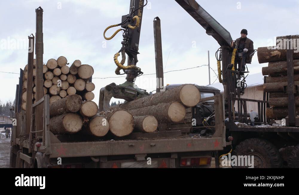 Crane arm loader unloads timber logs from heavy truck at sawmill ...