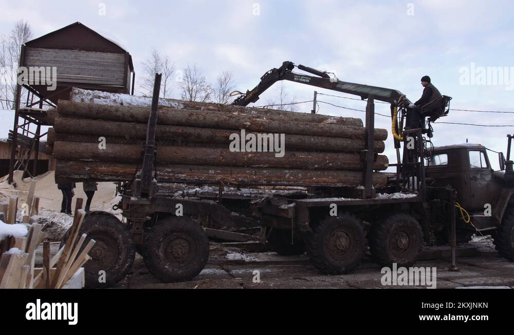 Mechanical claw loader unloads lumber logs from heavy truck at sawmill ...
